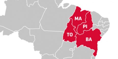 Matopiba: conheça a famosa região da soja - PagBem