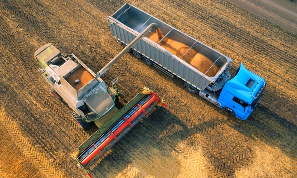 Transporte de carga a granel: como fazer? - PagBem